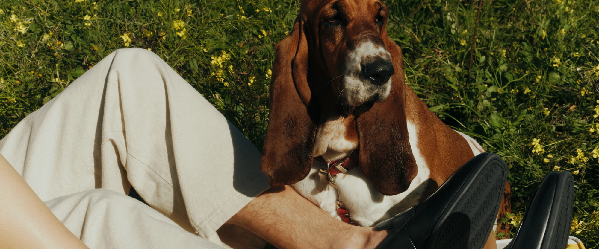 Win a voucher | Hush Puppies AU